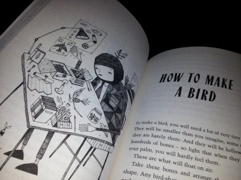 How to Make a Bird | Meg McKinlay